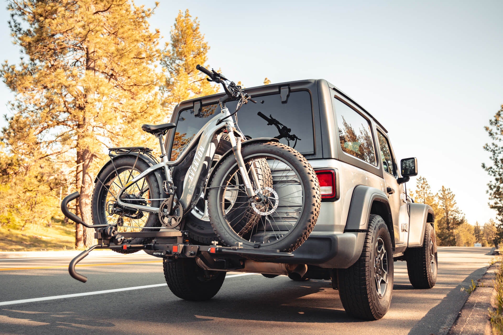 Aventon Foldable Hitch Rack– Electric Surf Co